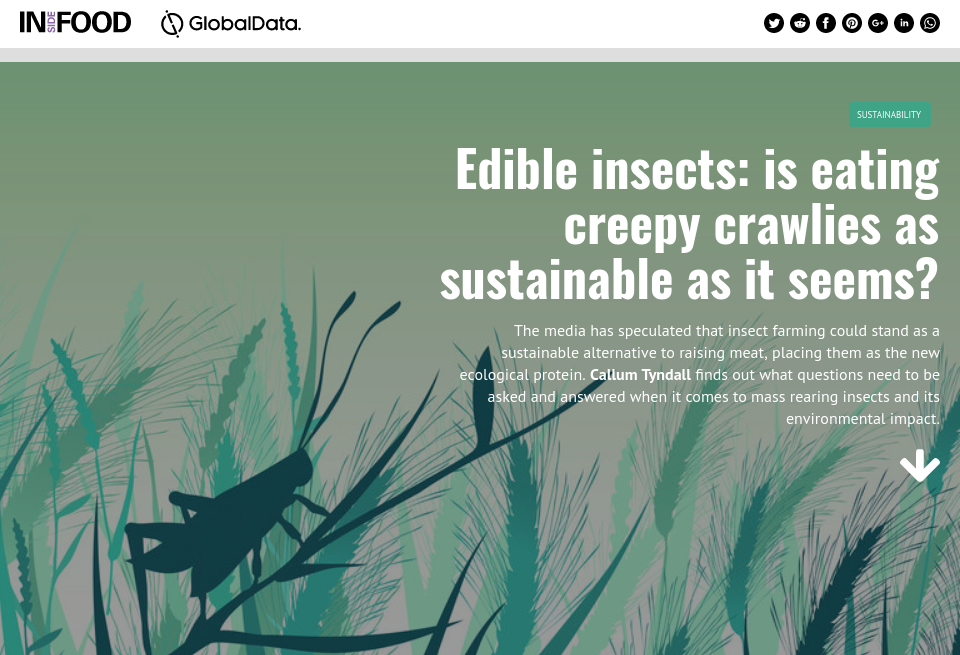 Edible insects: is eating creepy crawlies as sustainable as it seems ...