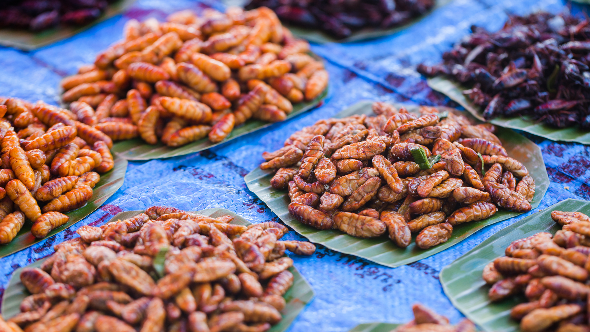 Lipofoods - Inside Food | Issue 30 | April 2019