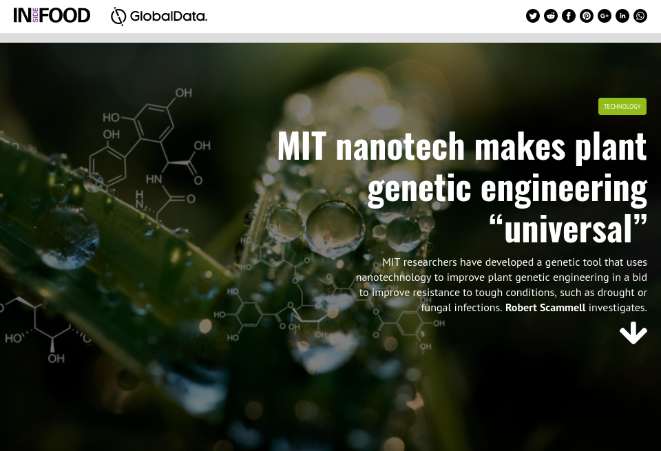 MIT nanotech makes plant genetic engineering “universal” - Inside Food ...