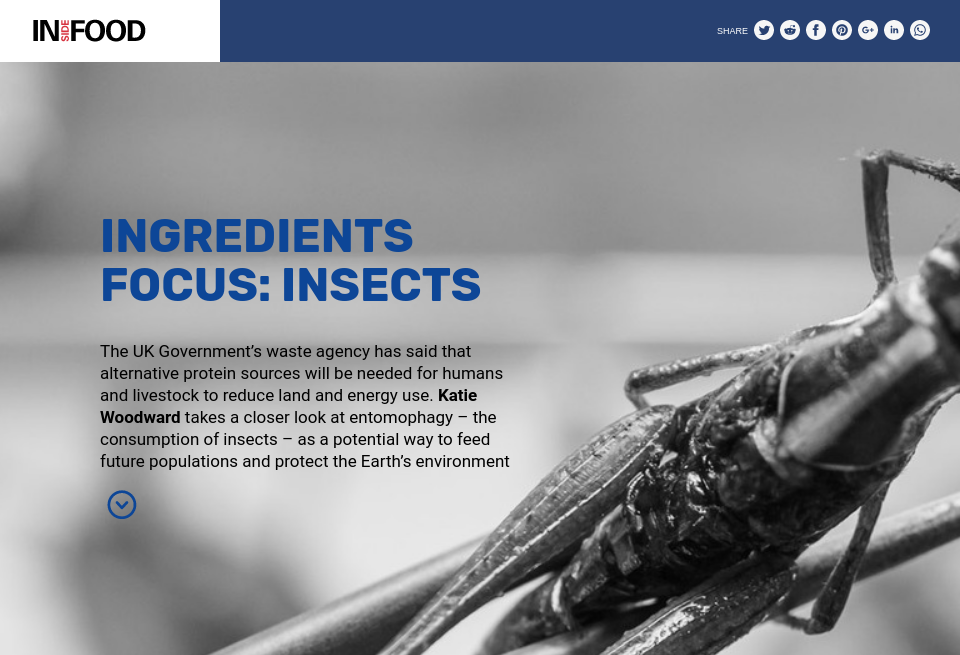 Ingredients Focus: Insects - Inside Food | Issue 23 | January 2018