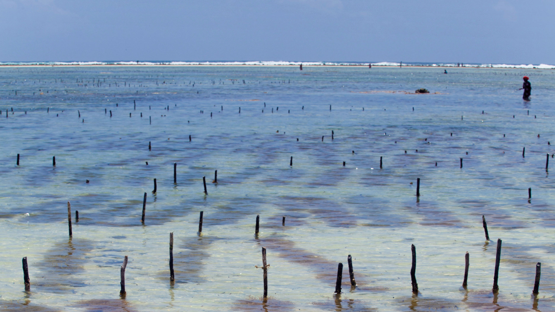 Lipofoods - Inside Food | Issue 33 | October 2019