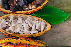 Lipofoods - Inside Food | Issue 33 | October 2019