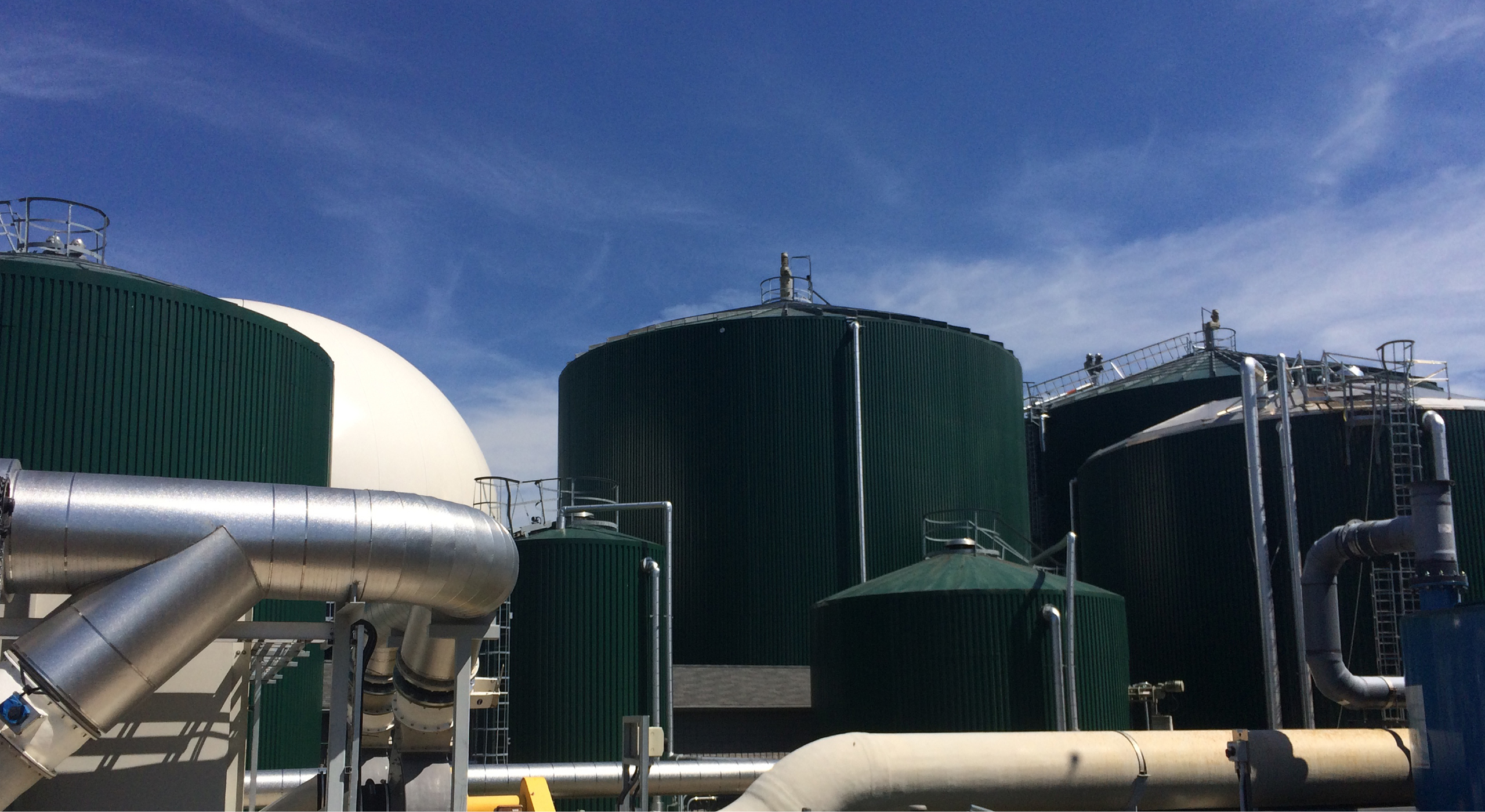 Next issue - Inside Food Yearbook 2018