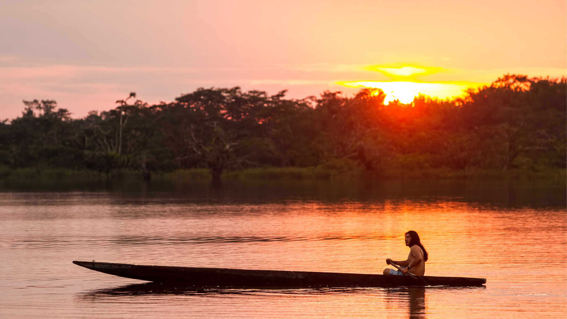 Indigenous food systems: providing local solutions for biodiversity and ...