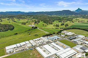 Extracta Company Insight - Just Food | Issue 59 | March 2025